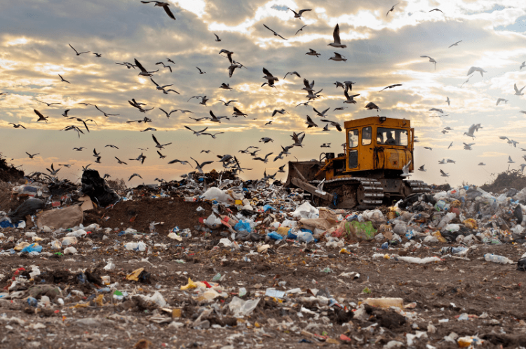 International Waste Research & Technology Centre (IWRTC) – Green Circle Inc